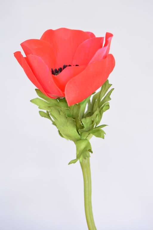 Anemoon kunstbloem kopen? Zijden anemonen kunstbloemen - iFleur Anemoon kunstbloem kopen? Zijden anemonen kunstbloemen - iFleur